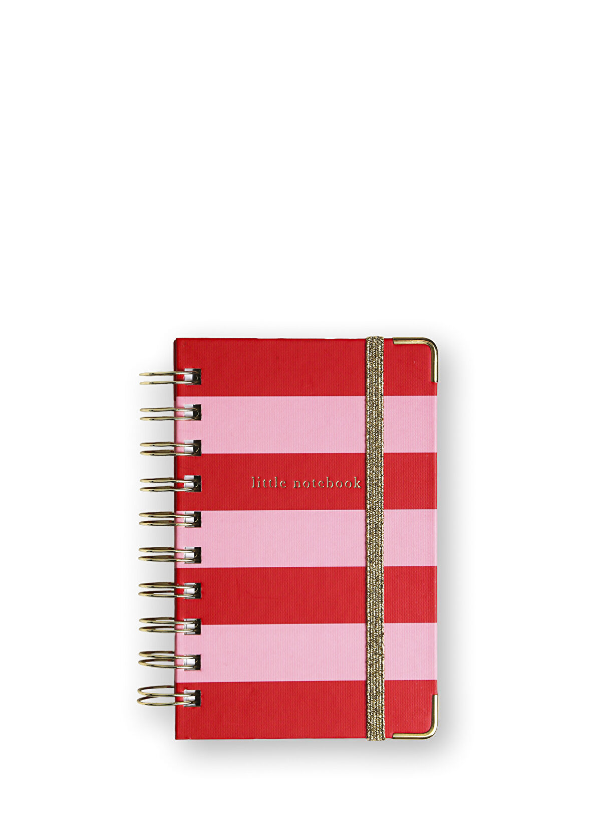Chapters - Strawberry Mini Spiral Lined Notebook