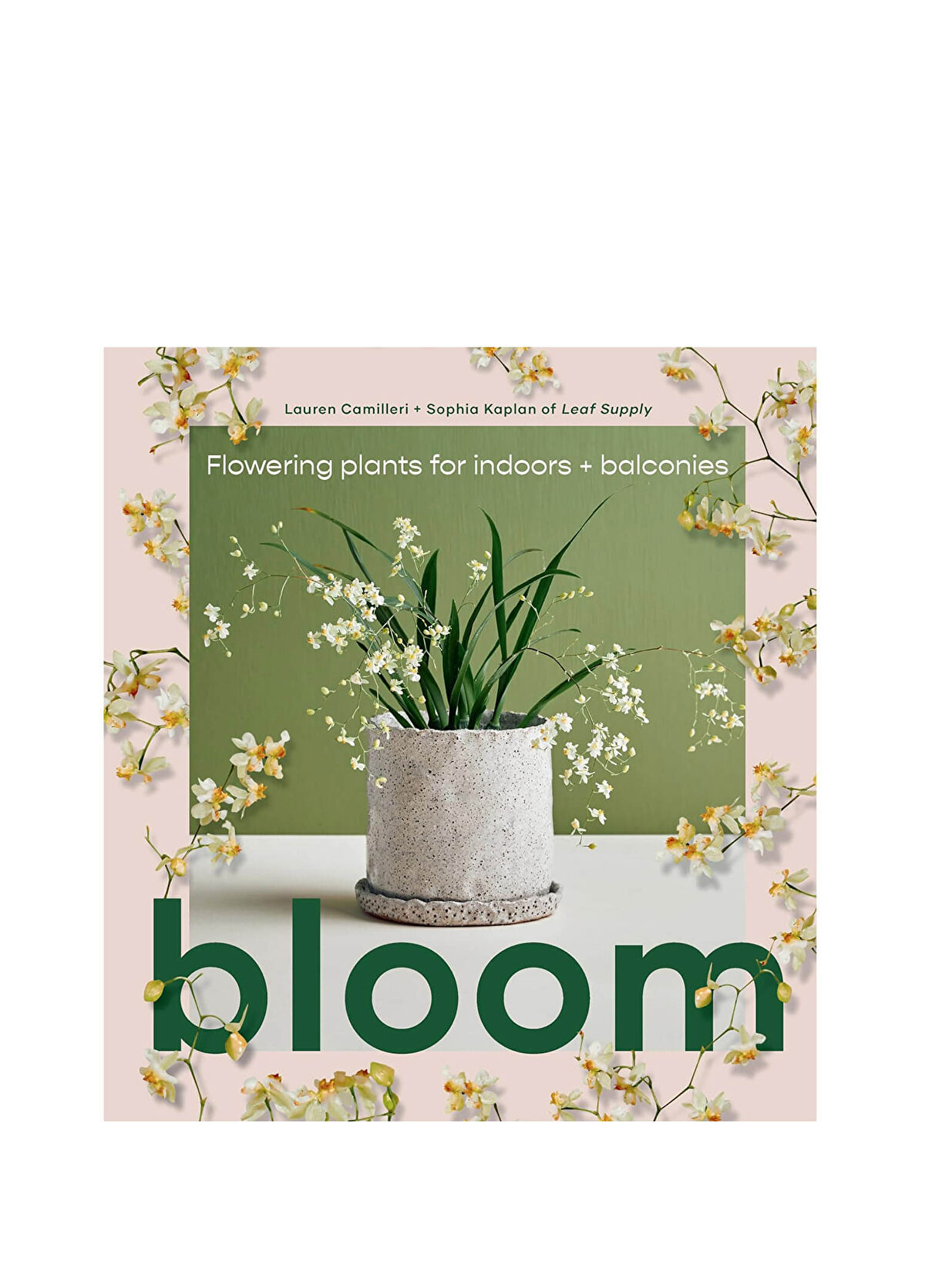 Rizzoli - Bloom Flowering Plants For Doors And Balconies Foreign ...