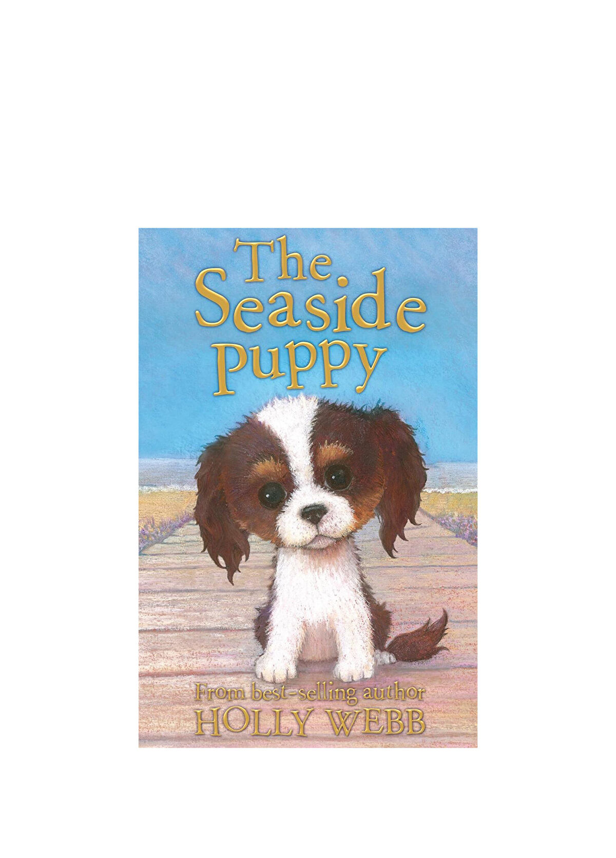 Little Tiger Kids - Holly Webb Animal Stories: The Seaside Puppy ...