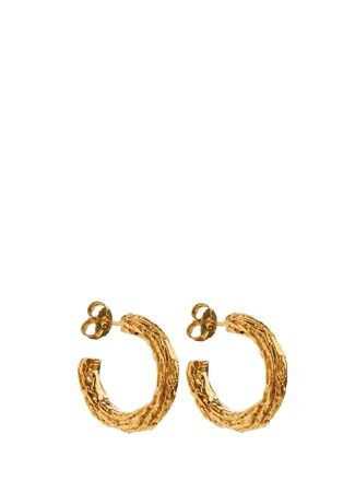 Fidelle Kadın Gold Burgulu Yuvarlak Küpe Altın Rengi EU Fidelle Kadın Gold Burgulu Yuvarlak Küpe Altın Rengi EU