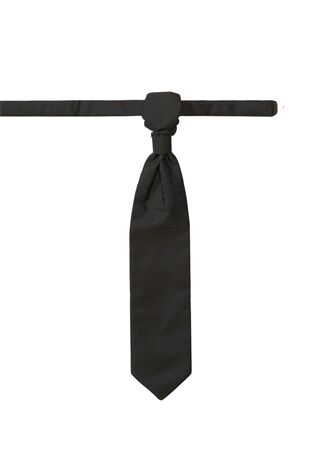 Palzileri Lab Erkek Lacivert Yün Kravat EU