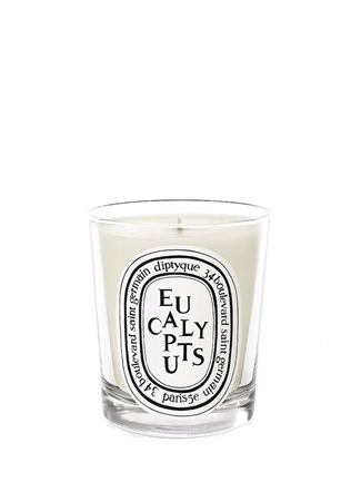 Diptyque Eucalyptus Silindir Formlu 190 gr Kokulu Mum Bej Diptyque Eucalyptus Silindir Formlu 190 gr Kokulu Mum Bej