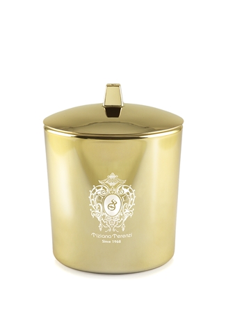 Tiziana Terenzi Camino Draco Gold 1000 gr Mum Altın Rengi Tiziana Terenzi Camino Draco Gold 1000 gr Mum Altın Rengi