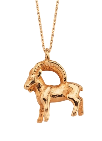 Aida Bergsen Kadın Oğlak Burç Altın Rengi Kolye EU
