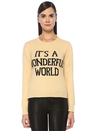 Alberta Ferretti Kadın Its A Wonderful World Sarı Jakarlı Kaşmir Kazak 44 IT