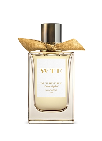 Burberry Signatures Wild Thistle EDP 150 ml Parfüm Burberry Signatures Wild Thistle EDP 150 ml Parfüm