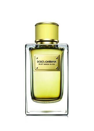 Dolce&Gabbana Kadın Velvet Mimosa Edp 150Ml Dolce&Gabbana Kadın Velvet Mimosa Edp 150Ml