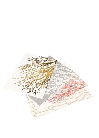 Coral&Co. Studio Print insert 4lü Set Çok Renkli