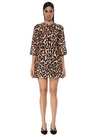 Dolce&Gabbana Kadın Leopar Desenli Truvakar Kol Mini Elbise Kahverengi 42 IT