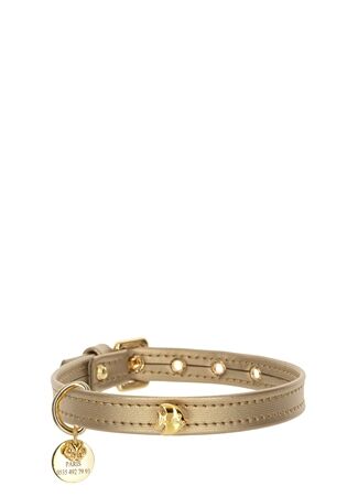 Paw Paris Champagne Köpek Boyun Tasması Altın Rengi S Paw Paris Champagne Köpek Boyun Tasması Altın Rengi S