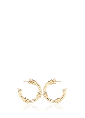 Academia Kadın Gold Halka Küpe Altın Rengi Eu