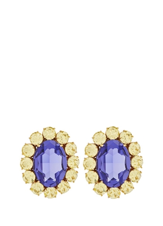 Ninon Kadın Taşlı Oval Formlu Altın Rengi Kaplama Küpe EU Ninon Kadın Taşlı Oval Formlu Altın Rengi Kaplama Küpe EU