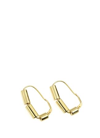 Nilgün Ata Kadın Altın Rengi Parçalı Küpe EU