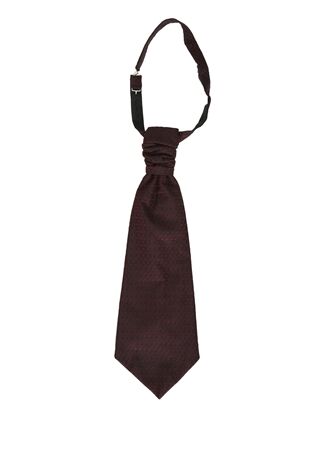 Cerimonia Erkek Bordo Mikro Desenli Kravat EU