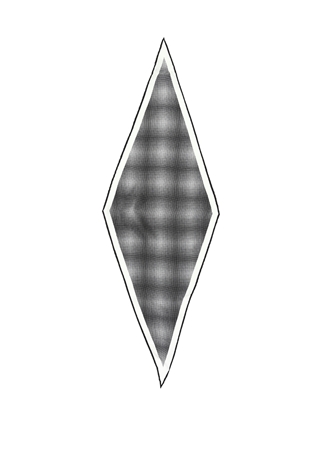 Cerimonia Erkek Koyu Gri Desenli İpek Fular EU