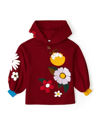 Dolce&Gabbana Kız Çocuk Kırmızı Kapüşonlu Patchli Sweatshirt 2 Yaş EU Dolce&Gabbana Kız Çocuk Kırmızı Kapüşonlu Patchli Sweatshirt 2 Yaş EU