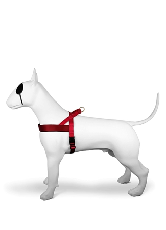 Morso Diamonds S Bordo Norveç Tipi Göğüs Tasması