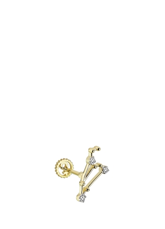 Her Story Kadın Zodyak Aslan Altın Rengi Piercing EU Her Story Kadın Zodyak Aslan Altın Rengi Piercing EU