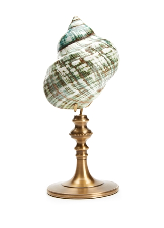 OBJET DE CURIOSITE Yeşil Gold Deniz Kabuğu Formlu Obje OBJET DE CURIOSITE Yeşil Gold Deniz Kabuğu Formlu Obje