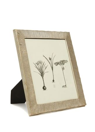 Pigeon & Poodle Tulua Gold Çizgi Dokulu Çerçeve Altın Rengi