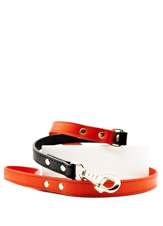 Hoody Doggy Ralph Kırmızı Deri Büyük Irk Gezdirme Tasması EU Hoody Doggy Ralph Kırmızı Deri Büyük Irk Gezdirme Tasması EU