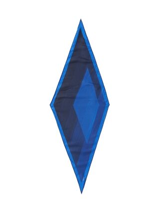 Pal Zileri Erkek Atki Mavi Eu