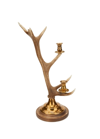 Clock House Gold Ağaç Formlu Ahşap Şamdan Altın Rengi Clock House Gold Ağaç Formlu Ahşap Şamdan Altın Rengi
