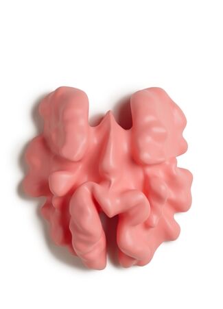 Kazoo Pembe Duvar Çerezi