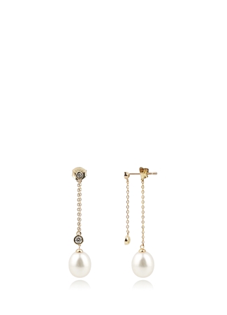 Lulu Jewelery Kadın Zirkon Taşlı İnci Detaylı Gümüş Rengi Küpe Altın EU Lulu Jewelery Kadın Zirkon Taşlı İnci Detaylı Gümüş Rengi Küpe Altın EU