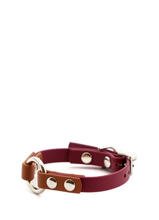 The Morning Cloud Misty Köpek Tasması Eu