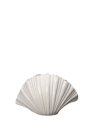 Room Diaries Beyaz İstiridye Formlu Seramik Vazo