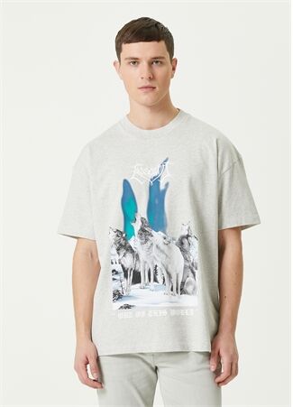 Allsaints Erkek Howl Gri Figür Baskılı Organik Pamuk T-shirt XS EU