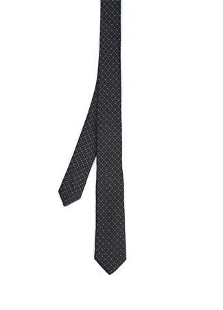 Palzileri Lab Erkek Lacivert Desenli İpek Kravat EU