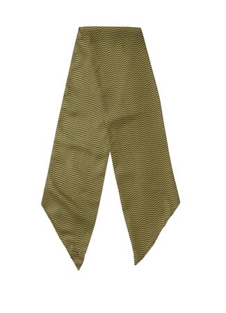 Pal Zileri Erkek Atki Yeşil Eu