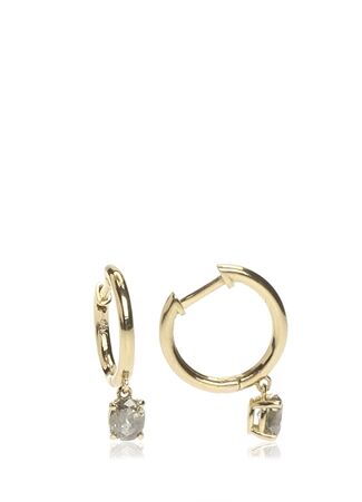 Collection-Ruel Design Kadın Sallantılı Uç Detaylı Altın Rengi Küpe EU