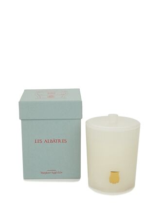 Cire Trudon Hemera 270 gr Mum Çok Renkli