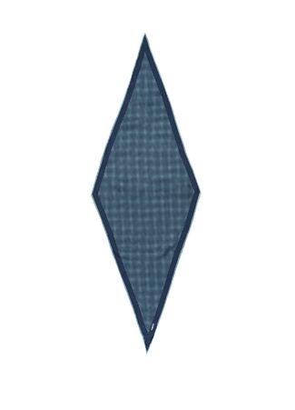 Pal Zileri Erkek Mavi Desenli İpek Fular EU