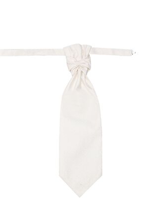 Palzileri Lab Erkek Beyaz Desenli İpek Kravat EU