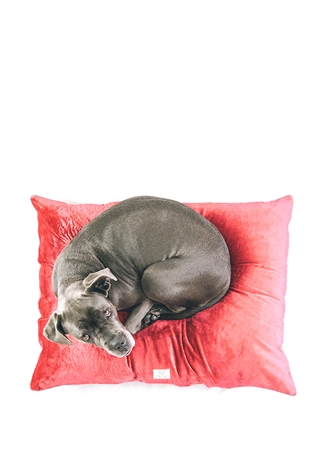 Mons Bons Velvet Bordo Köpek Minderi L EU Mons Bons Velvet Bordo Köpek Minderi L EU
