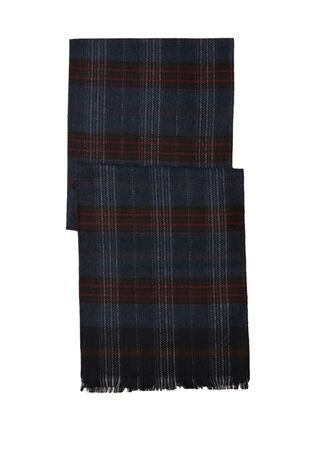 Beymen Erkek Lacivert Bordo Kareli Atkı EU