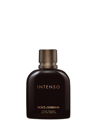 Dolce&Gabbana Erkek Pour Homme intenso Edp 125Ml Dolce&Gabbana Erkek Pour Homme intenso Edp 125Ml
