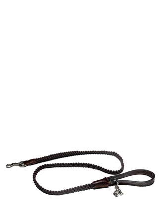 Havhow Kahverengi Gezdirme Tasması EU