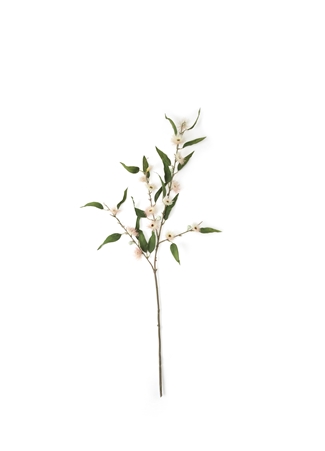 Silkka Eucalyptus Spray Pembe Çiçek Silkka Eucalyptus Spray Pembe Çiçek