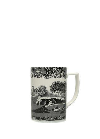 Spode İtalian Karışık Desenli Porselen Kupa Çok Renkli Spode İtalian Karışık Desenli Porselen Kupa Çok Renkli