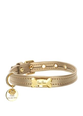 Paw Paris Gold Tasma Altın Rengi L