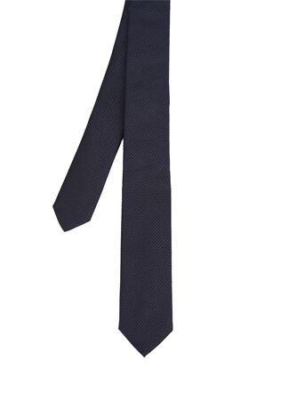 Palzileri Lab Erkek Lacivert Desenli İpek Kravat EU