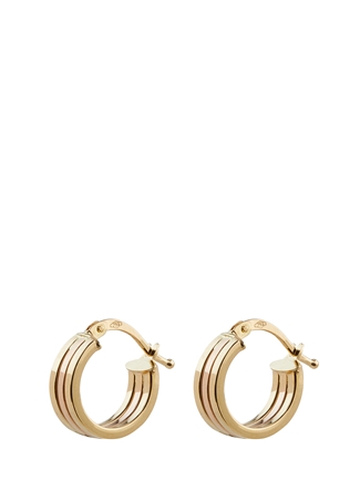 Collection Kadın Halka Formlu Altın Rengi Küpe EU