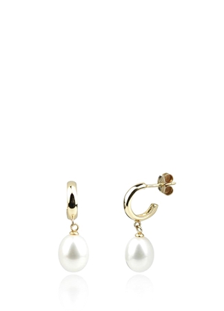 Lulu Jewelery Kadın Zirkon Taşlı İnci Detaylı Gümüş Rengi Küpe Altın EU Lulu Jewelery Kadın Zirkon Taşlı İnci Detaylı Gümüş Rengi Küpe Altın EU