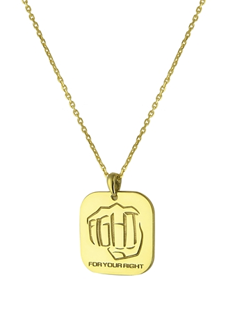 Kayra Khan Erkek Fight Gold Gümüş Rengi Kolye Altın EU