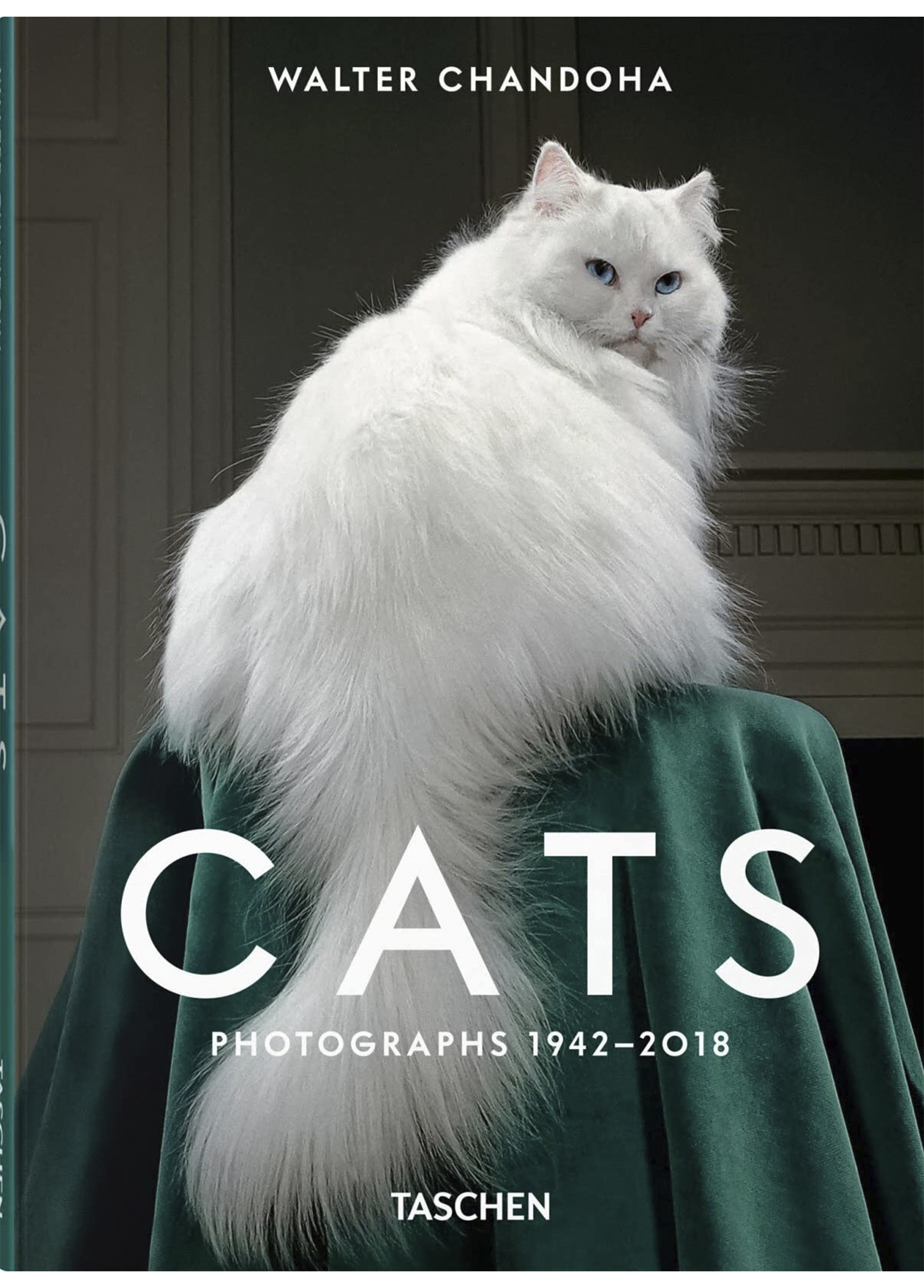 New Mags - Cats Walter Chandoha Photographs 1942-2018 Kitap - Multicolor